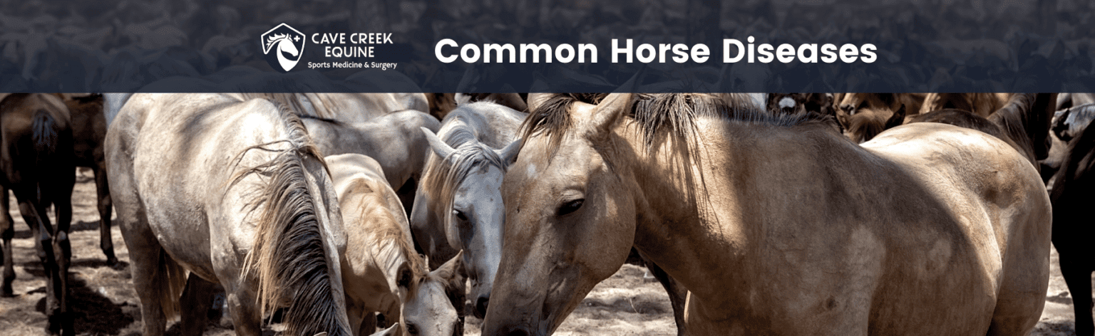 Common Horse Diseases - Cave Creek Equine™